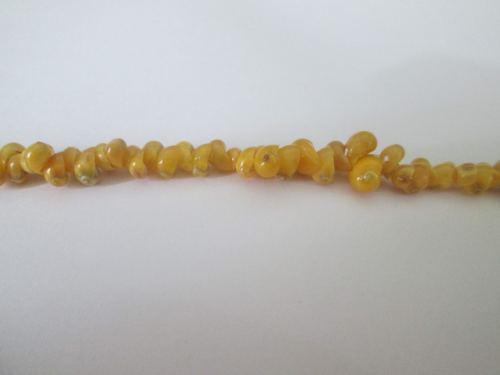Yellow mongo shell-limited stock - Beads and Pieces